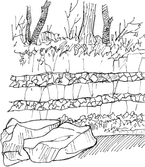 Chert – One of the Most Common Ozark Minerals – The Ozark Society