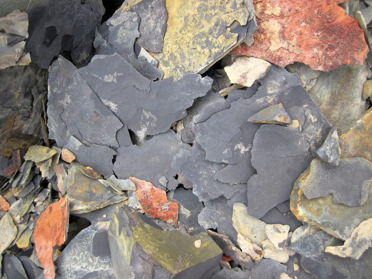 An Ozark Mystery Lost in Deep Geologic Time – The Ozark Society